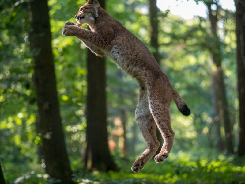 Profil von Stefan Eschweiler - Bundesverband Deutscher Pressefotografen